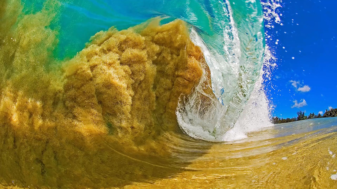 A la recherche de la photo parfaite avec Clark Little